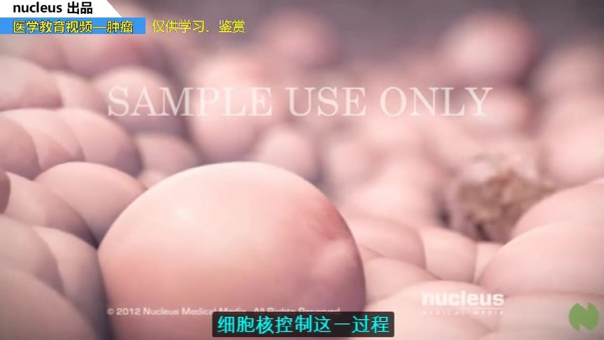 医学科普短视频—肿瘤如何发生?