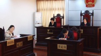 樊城区法院优秀庭审录像民事案