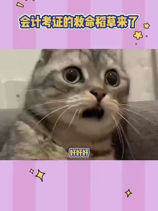 马小新让你明白什么叫选择比努力还重要! #初级会计#初级会计考试 #...