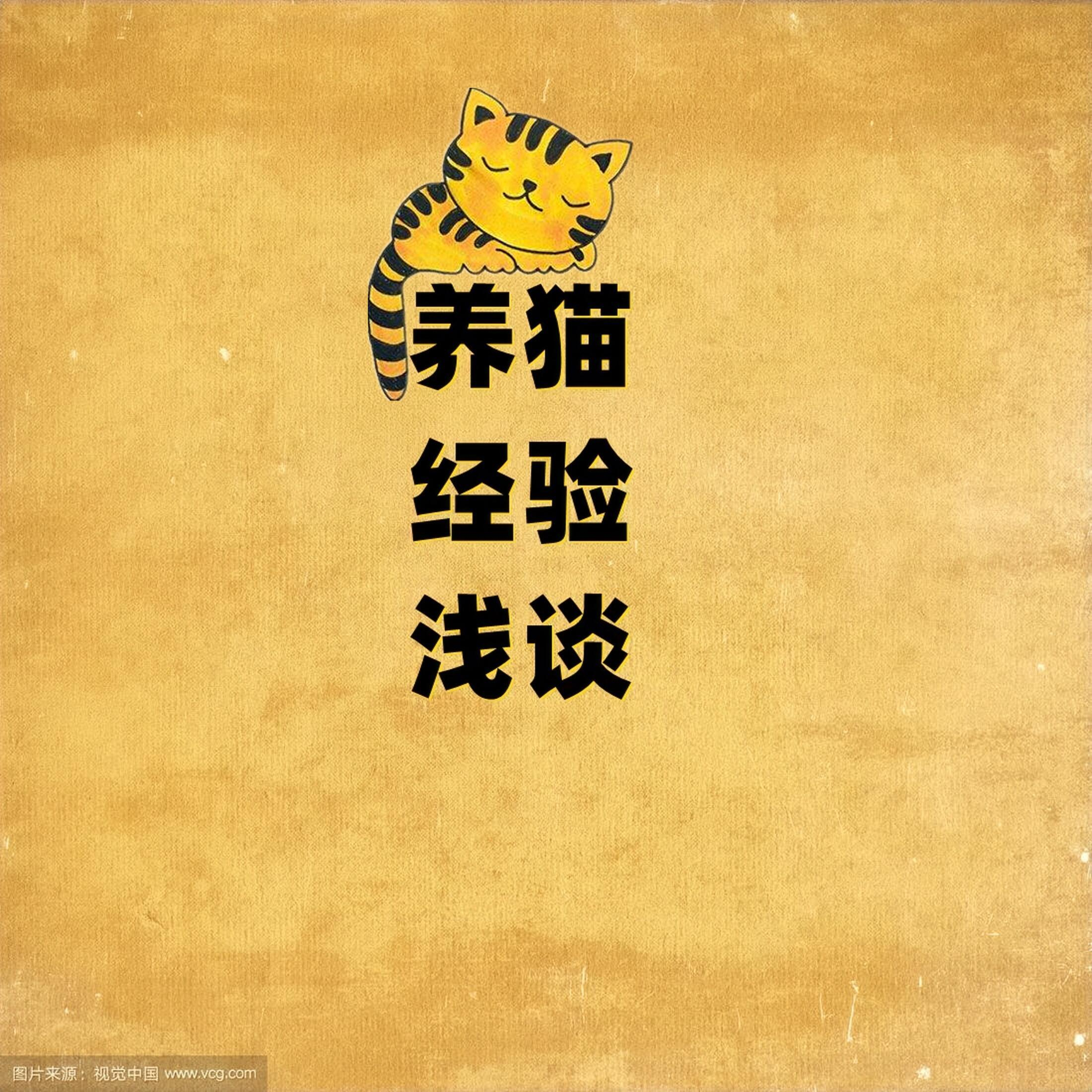 猫护士 