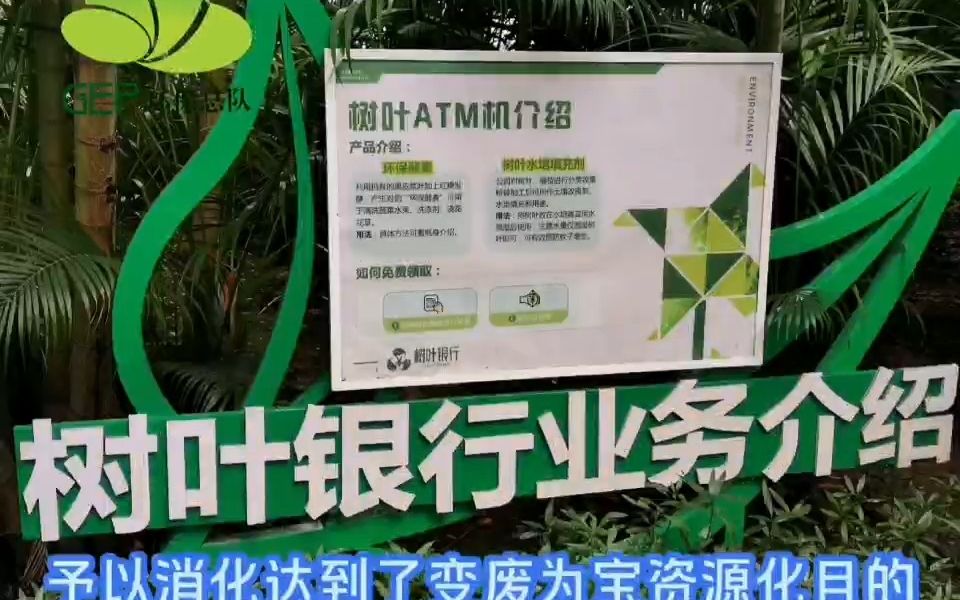 ...东山湖公园的树叶银行,树叶回收变废为宝改良土壤,巧妙宣传垃圾分类