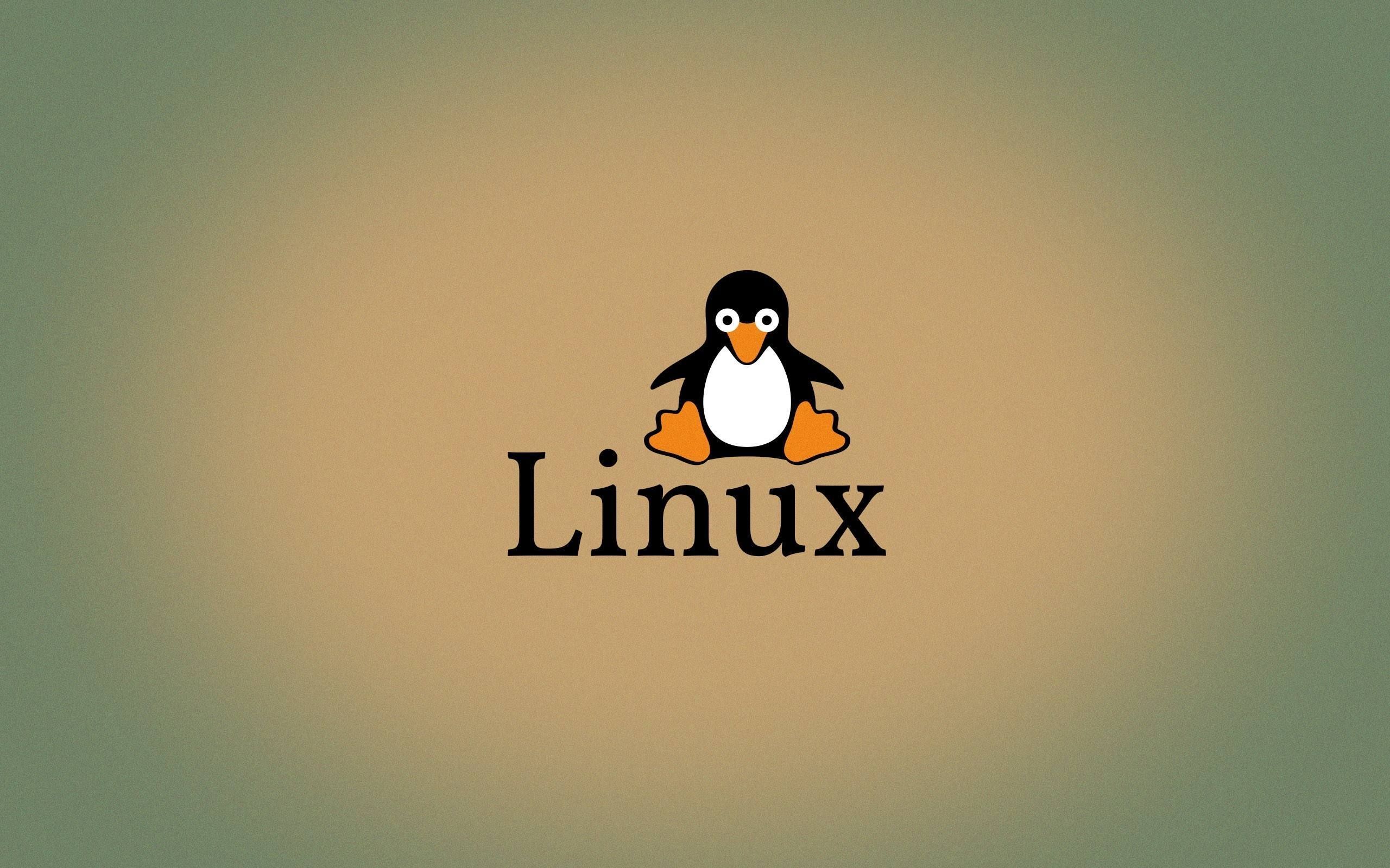 当Linux用户试图安装软件