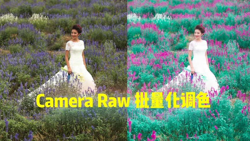 Camera Raw中利用预设实现批量化调色,PS这款滤镜真的很好用