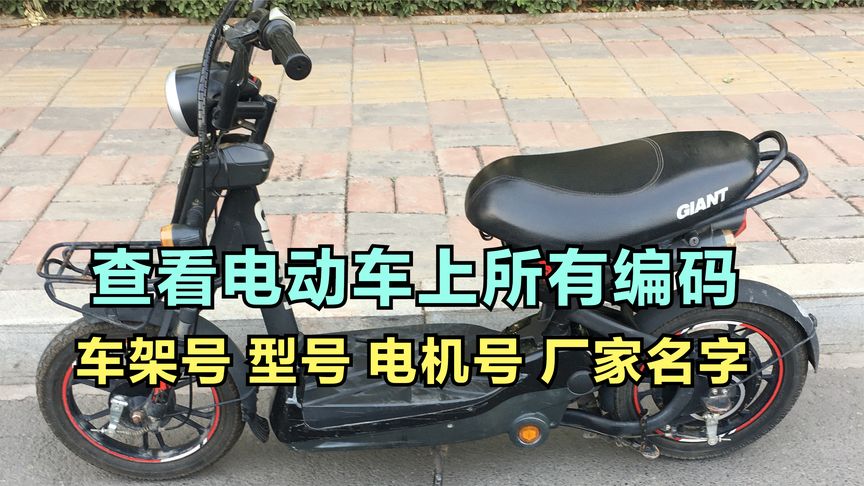 电动车车架号,型号,电机号查看方法