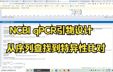 【NCBI-qPCR引物设计】及【引物特异性比对】从序列查找+引物设计...