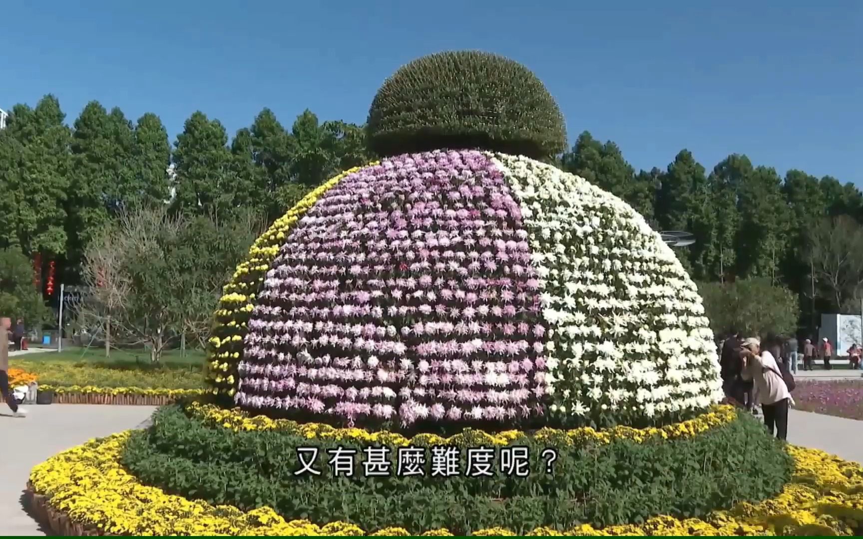 广州第64届羊城菊会在周末开幕