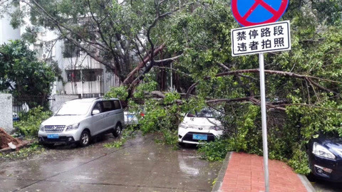 终于明白了!原来天灾造成汽车损坏,只有这几个情况会赔钱.