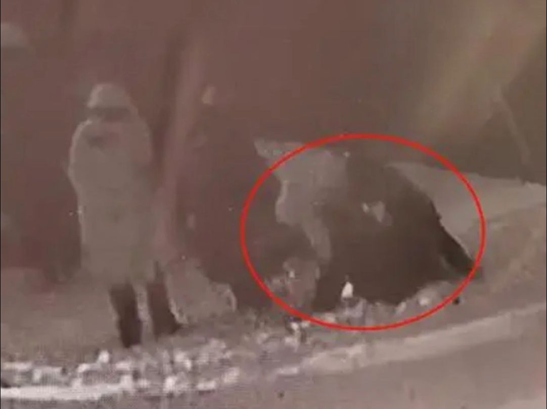 女生艺考前10天被男同学抱摔致骨折,伤人者没道歉没赔偿