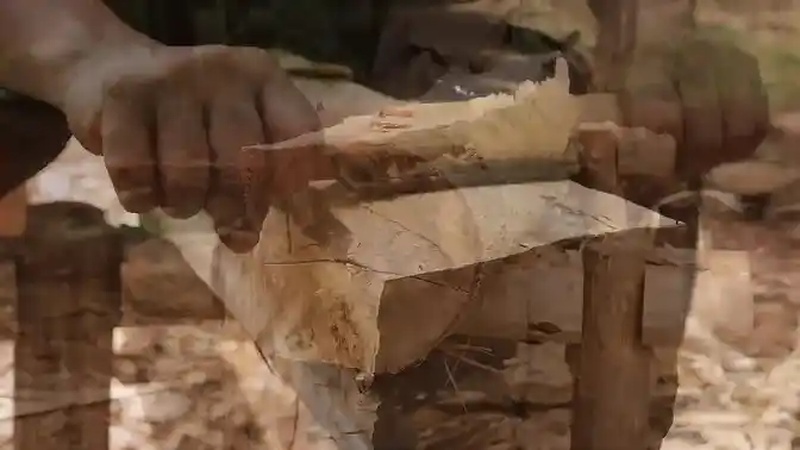 利用榫卯结构巧妙设计玄关适合居住的洞穴居住庇护所天花板!