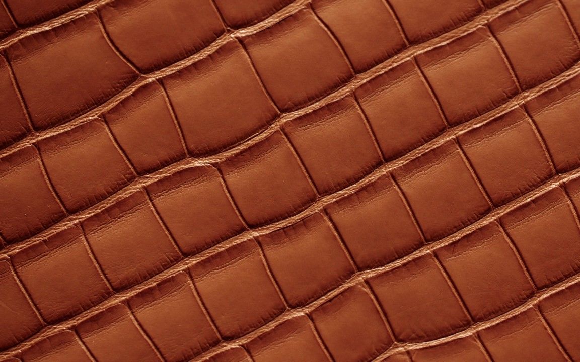 【制皮】 制作一根手工鳄鱼皮表带