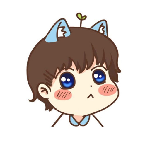 圣米格尔的星空 