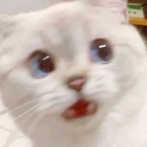 晓峣 