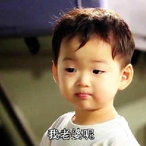 嗨马兄弟 