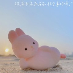 静慕星空 