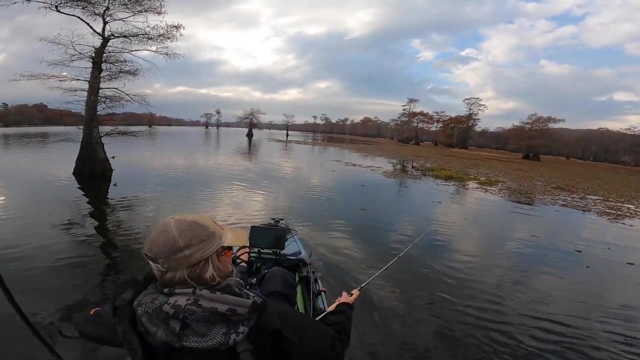 Fishing Tournament of Champions CADDO LAKE (Day 1)