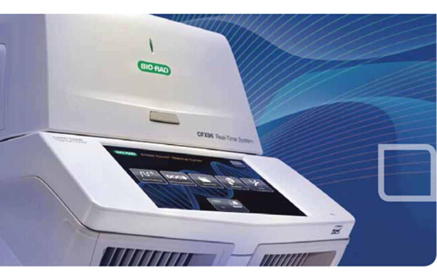 科研小白必备操作-荧光定量