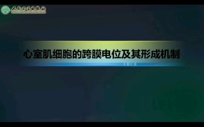 【生理学】心室肌细胞的跨膜电位及其形成机制