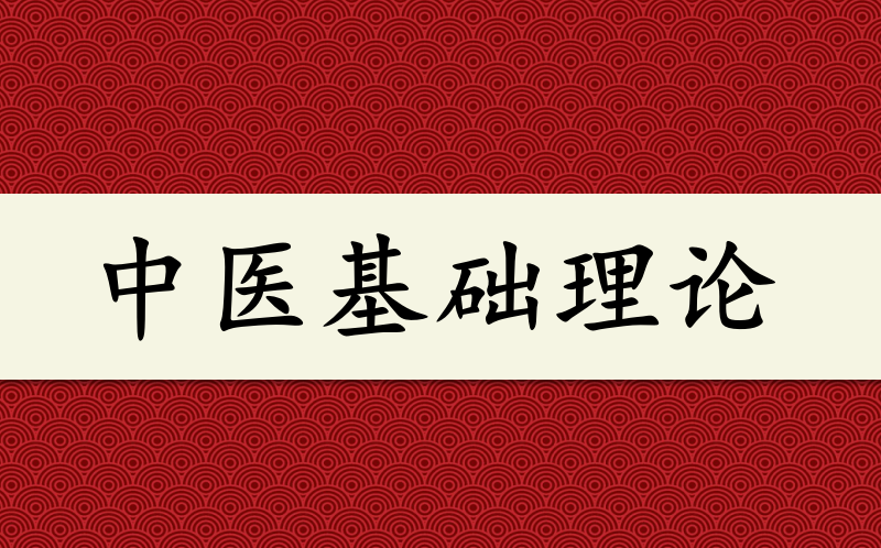 【中医】中医基础理论 倪海厦老师弟子施合一先生主讲(高清版本)