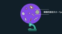 物理大师: 长度的单位