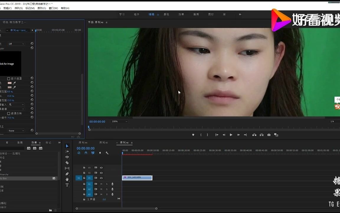 十五.如何用PR把人的皮肤磨皮美白,提升档次