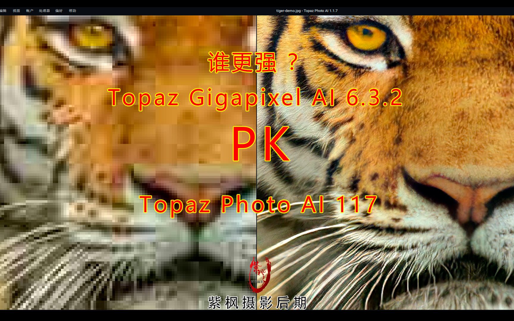 纯干货!谁更强 ?Topaz Gigapixel AI 6.3.2 PK Topaz Photo AI 117