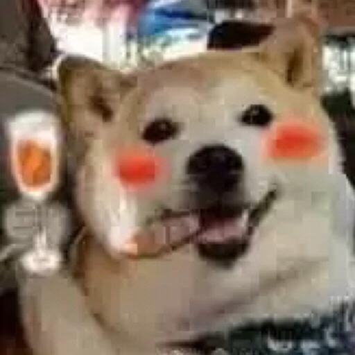 柴犬不是土狗 