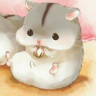 加班看好剧