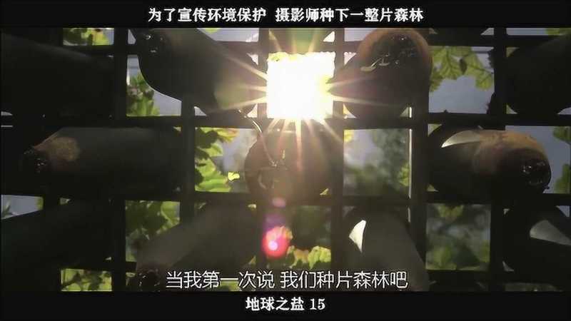 地球之盐 15,为了宣传环境保护摄影师种下一整片森林