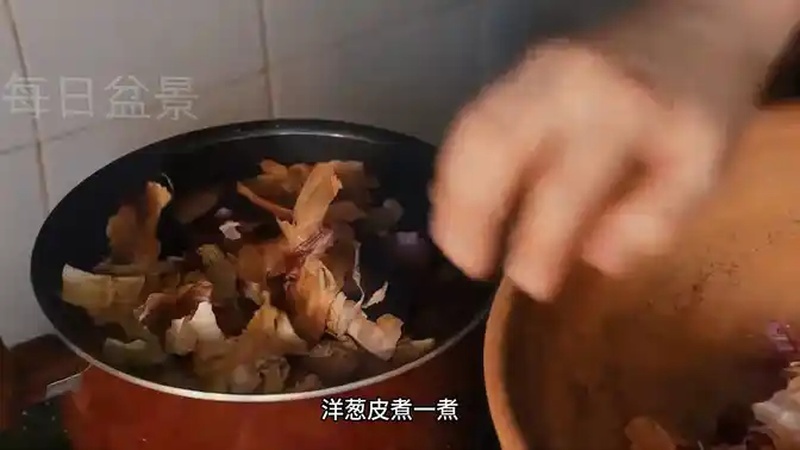 香蕉一根,带筋插土里,新奇的事发生了