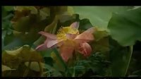 赠刘景文