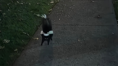 深夜回家惊现诡异一幕,小区马路上的离奇事件让人不寒而栗!