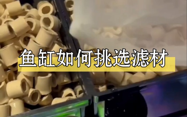 所以大家可以简单记住:滤材的一个主要作用是培养硝化细菌用的,只要...