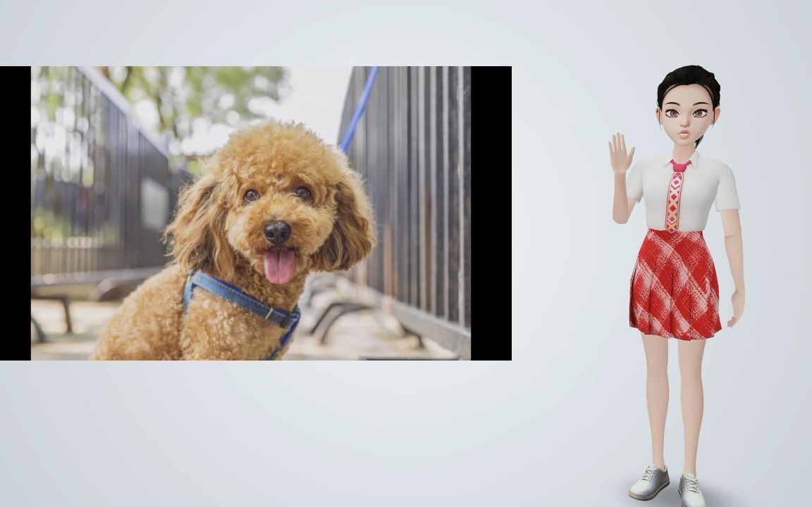 【怡亲科普】高铁上可以带宠物吗?如何才能带宠物回老家?