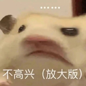 绝不搞笑奶黄包 