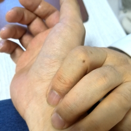 黄金鼠莱宝 