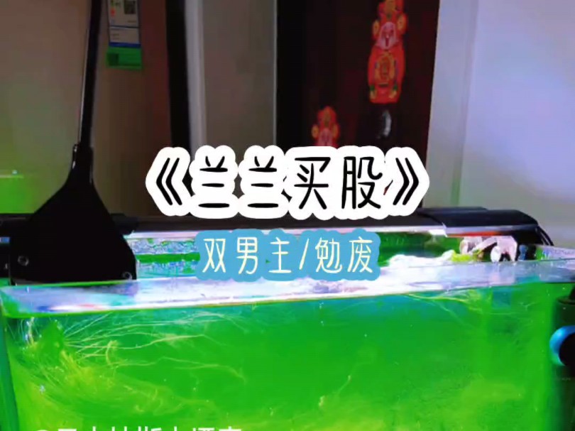 《兰兰买股》【双男主】【快穿】