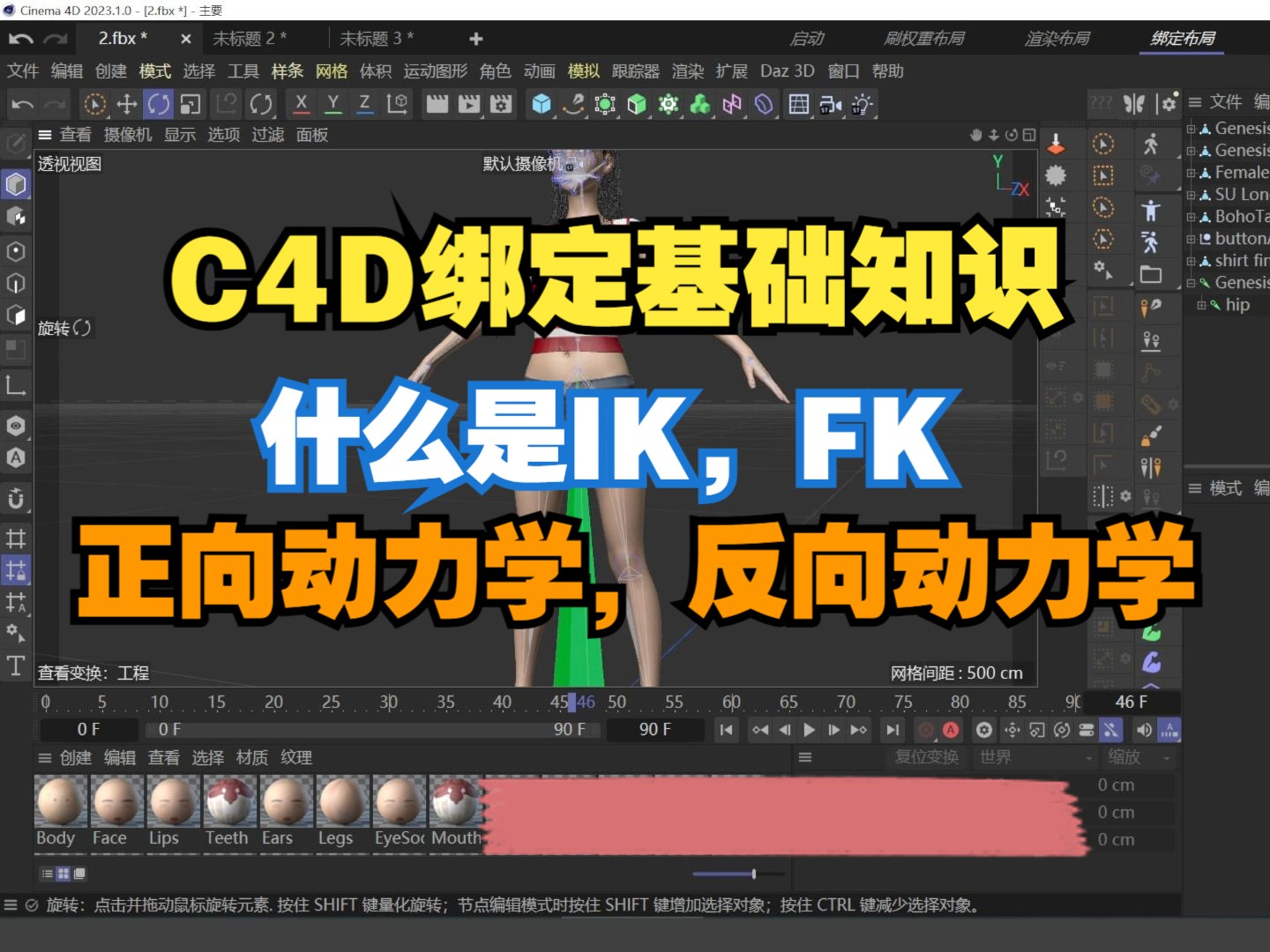 C4D骨骼绑定基础知识:C4D角色动画中IK和FK的概念详解,正向动力学...