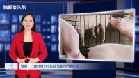 疯狂!多地发通知整治养殖污染!广西:200头以下小散严格管理!