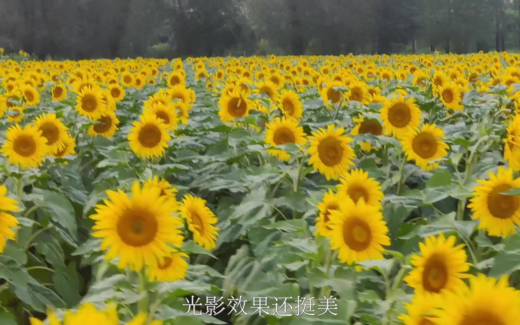 「VLOG」延庆百里画廊旅游の完全不指南——可笑游记