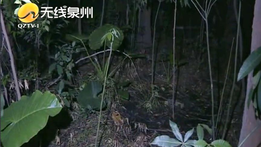 厕所排污管道堵塞三个月,迟迟得不到解决,村民生活用水受影响