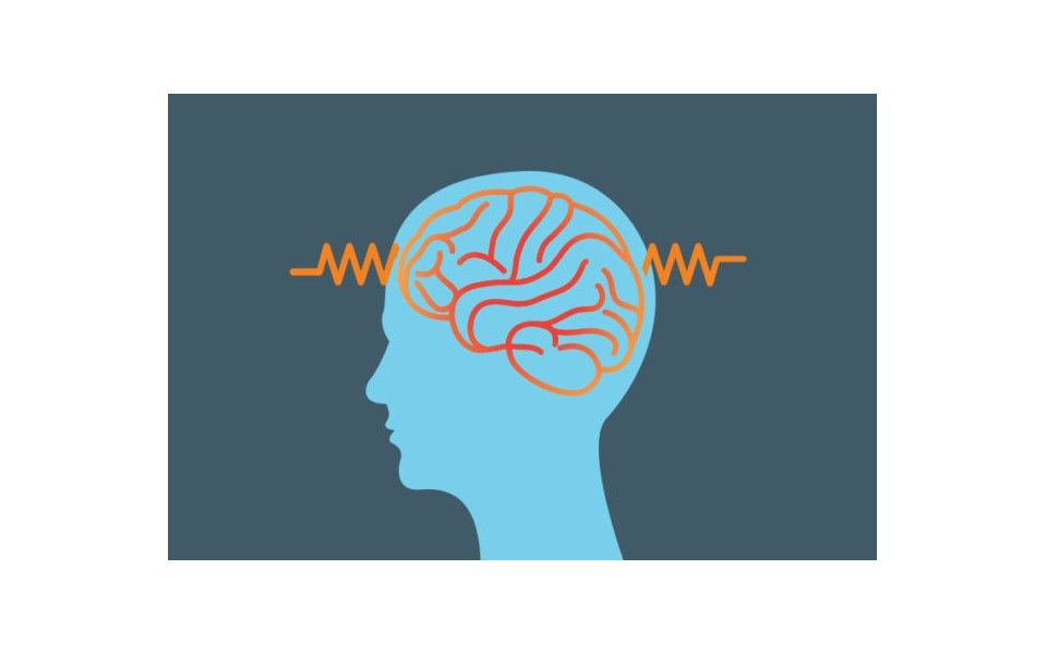 ...癫痫疾病模型研究介绍---哥伦比亚大学基因组学研究所 (神经网络、...