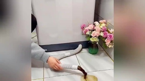 年关将至,洗衣机清洁秘籍曝光!