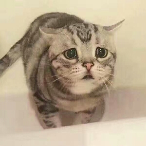 怎么这么可爱呢 
