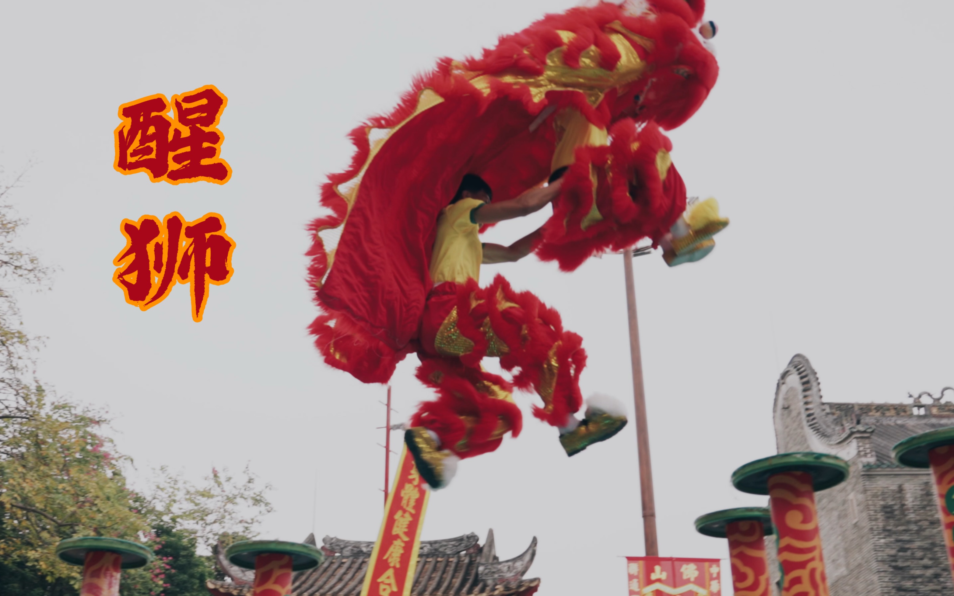 佛山黄飞鸿醒狮队舞狮表演,非物质文化遗产的传承。