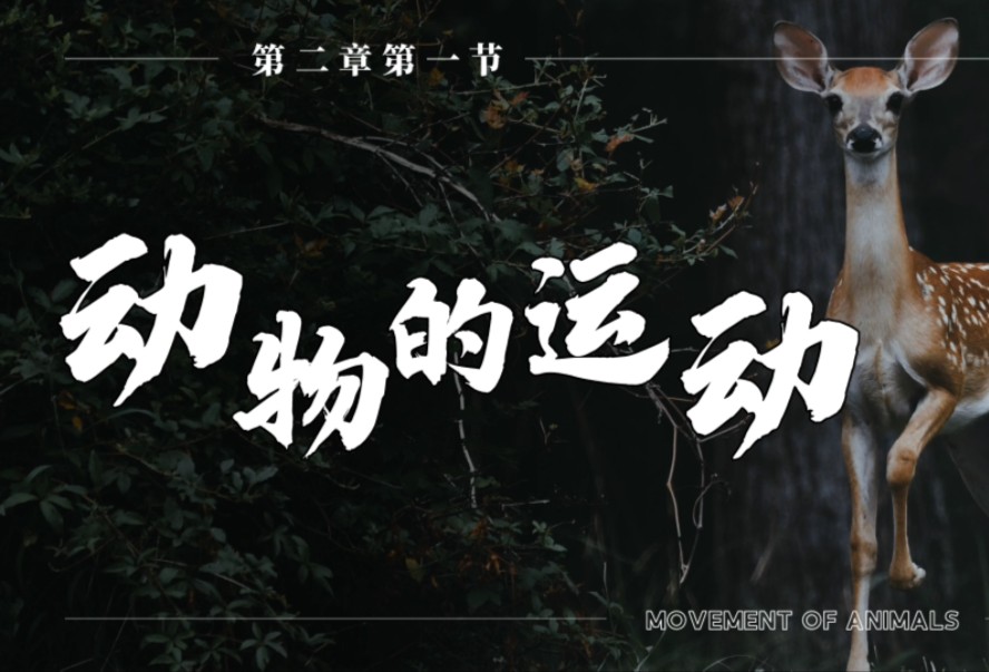 人教版初中生物八年级下册第二章第一节动物的运动