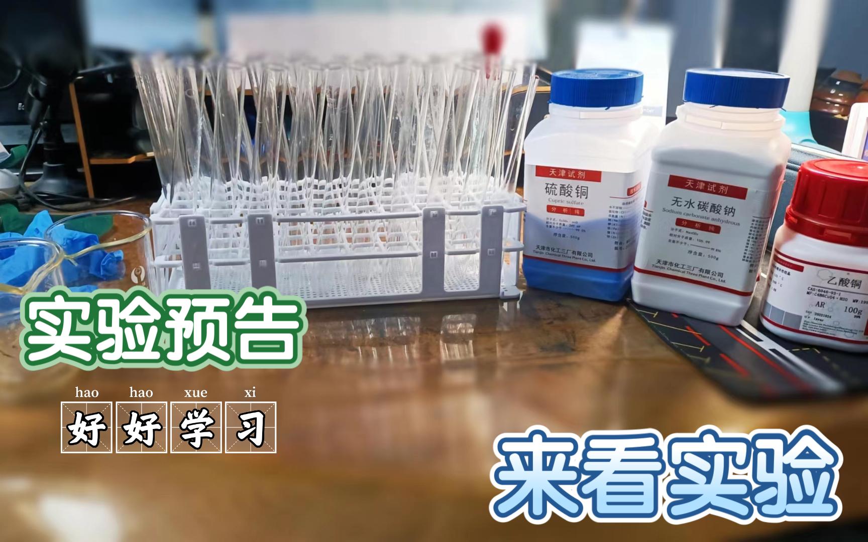 【实验预告】检测蛋白质的实验及其试剂改进