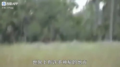 人类在森林中发现神秘生物,如果没有被拍到,你敢相信吗?