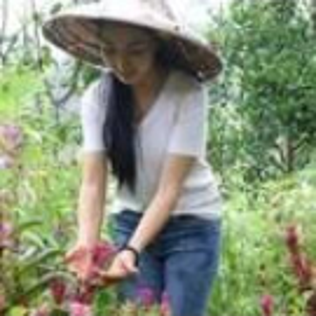 银山幺妹儿 
