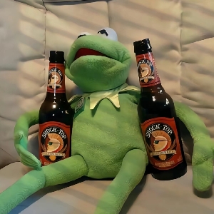 热爱学习大学牲 