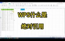 WPS什么是绝对引用-25